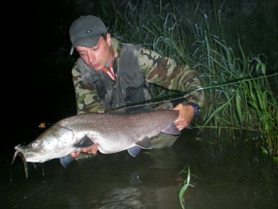 Muharjenje v Sloveniji - Flyfishing in Slovenia: Forums / Muharjenje s ...