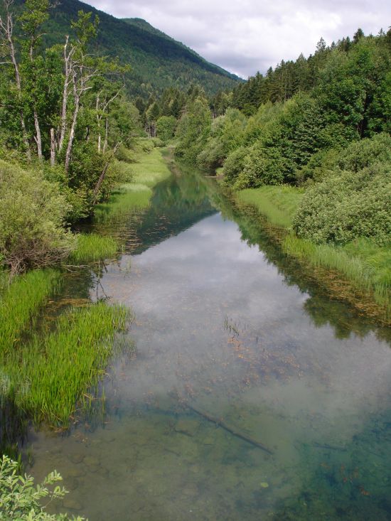 Muharjenje v Sloveniji - Flyfishing in Slovenia: Forums / Revirji ...